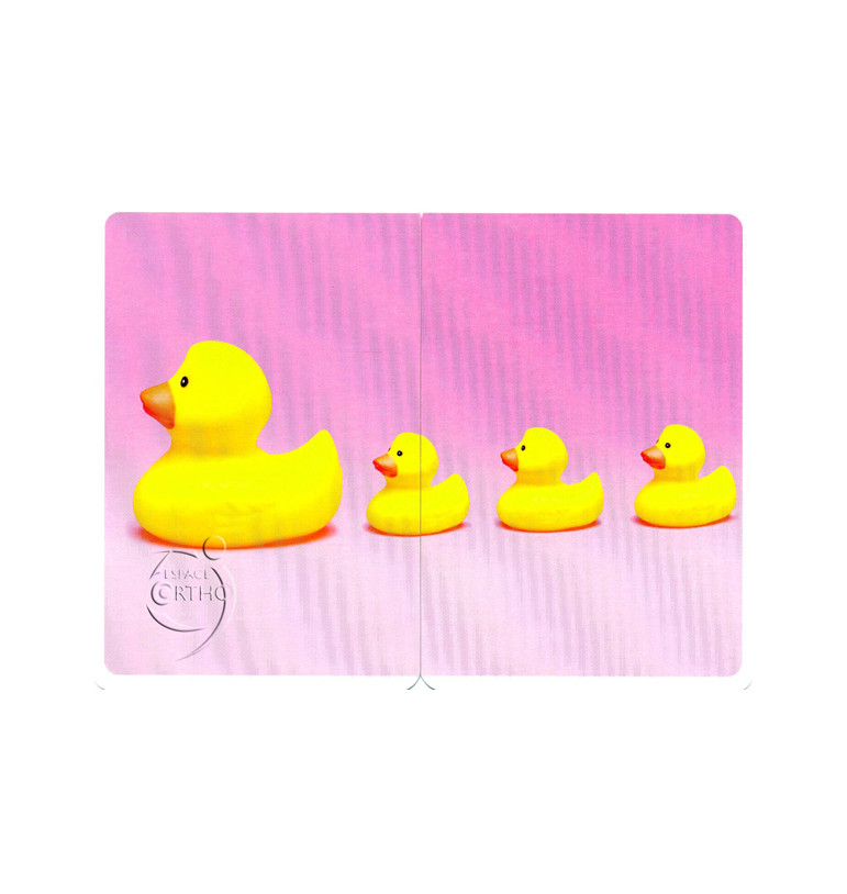 Têtes et queues - Pocket Colorcards-Colorcards