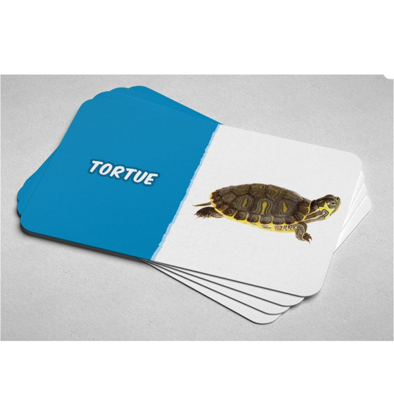 Mémoflex, jeu de mémoire concrète-Fonctions exécutives