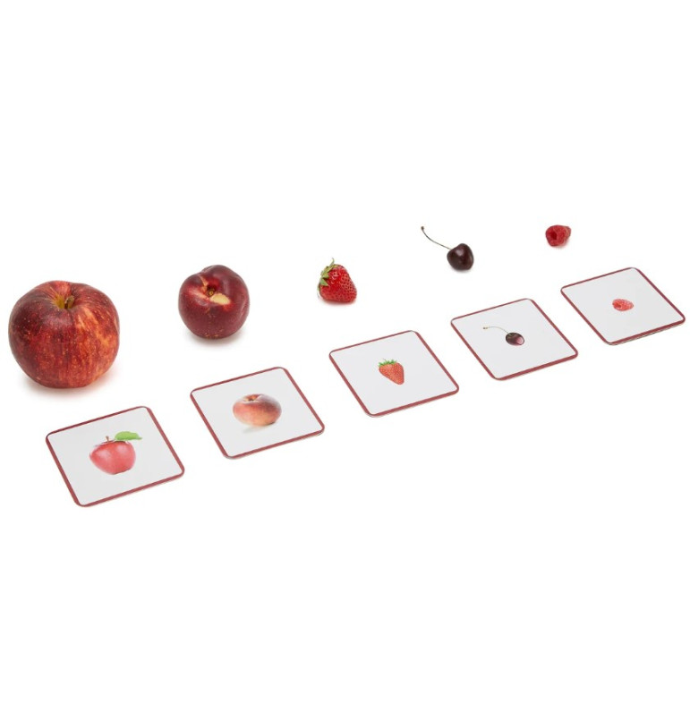 MONDY - Cartes de nomenclature Montessori-Langage oral-Imagerie