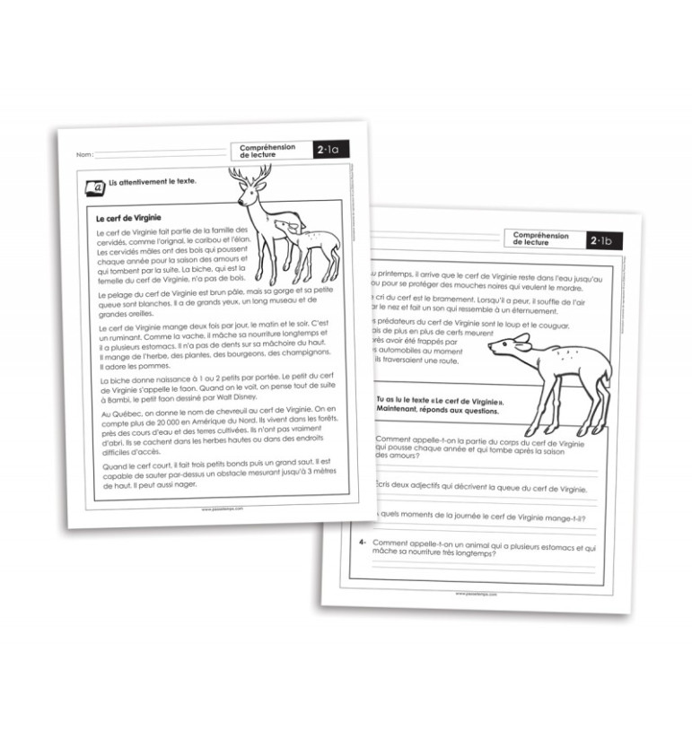 Français 2 : Compréhension de lecture - CE1 - Cahier C